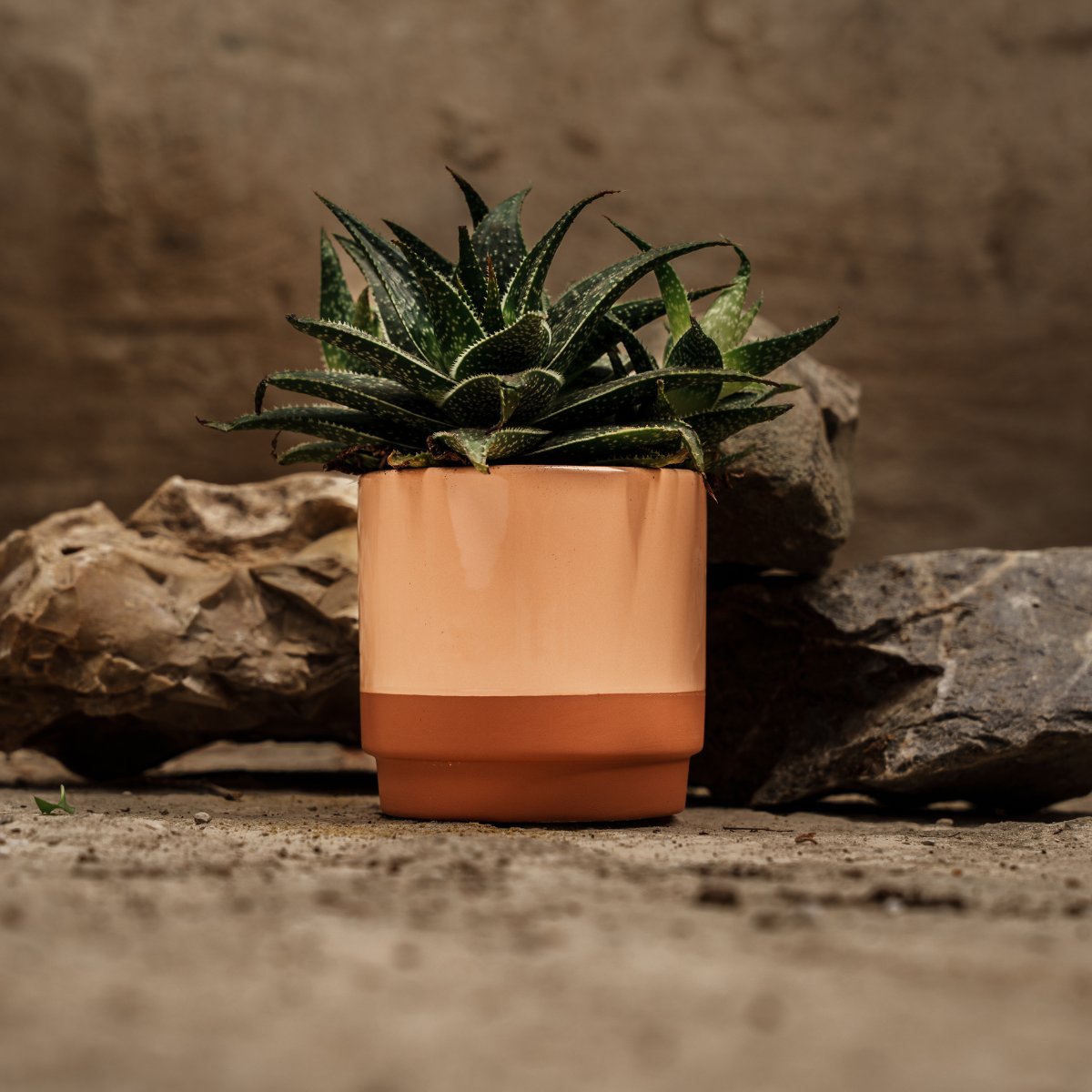 Ethical & Decorative Plant Pots – Merin & Second Plan(t) | The Florist ...